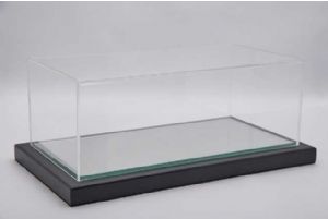 Display Case